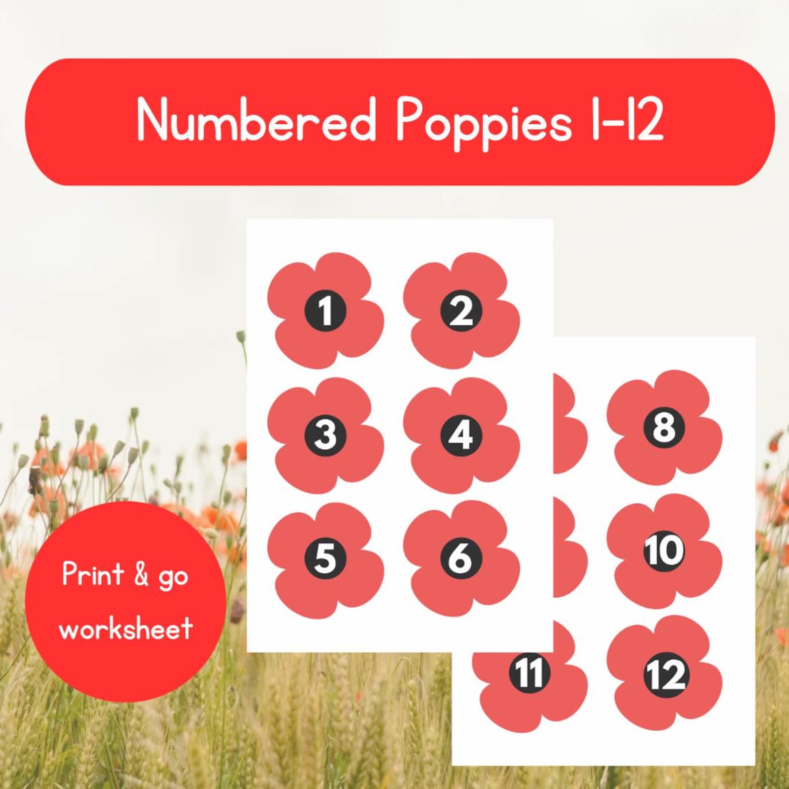 Poppies Numbered 1-12 | Early Maths Activity | Remembrance Day Activity ...
