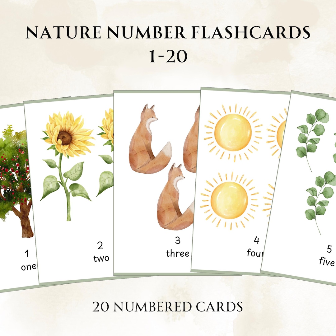 Nature Numbered Flashcards 1-20 | Watercolour Number Cards for Kids ...