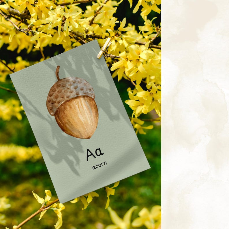 Nature Alphabet Flashcards A-Z | Watercolour ABC Cards for Kids ...