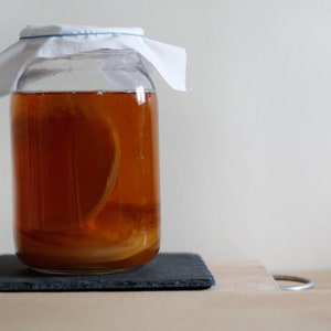 Kombucha Scoby: DIY Starter Kit With Instructions, Organic Kombucha - Etsy