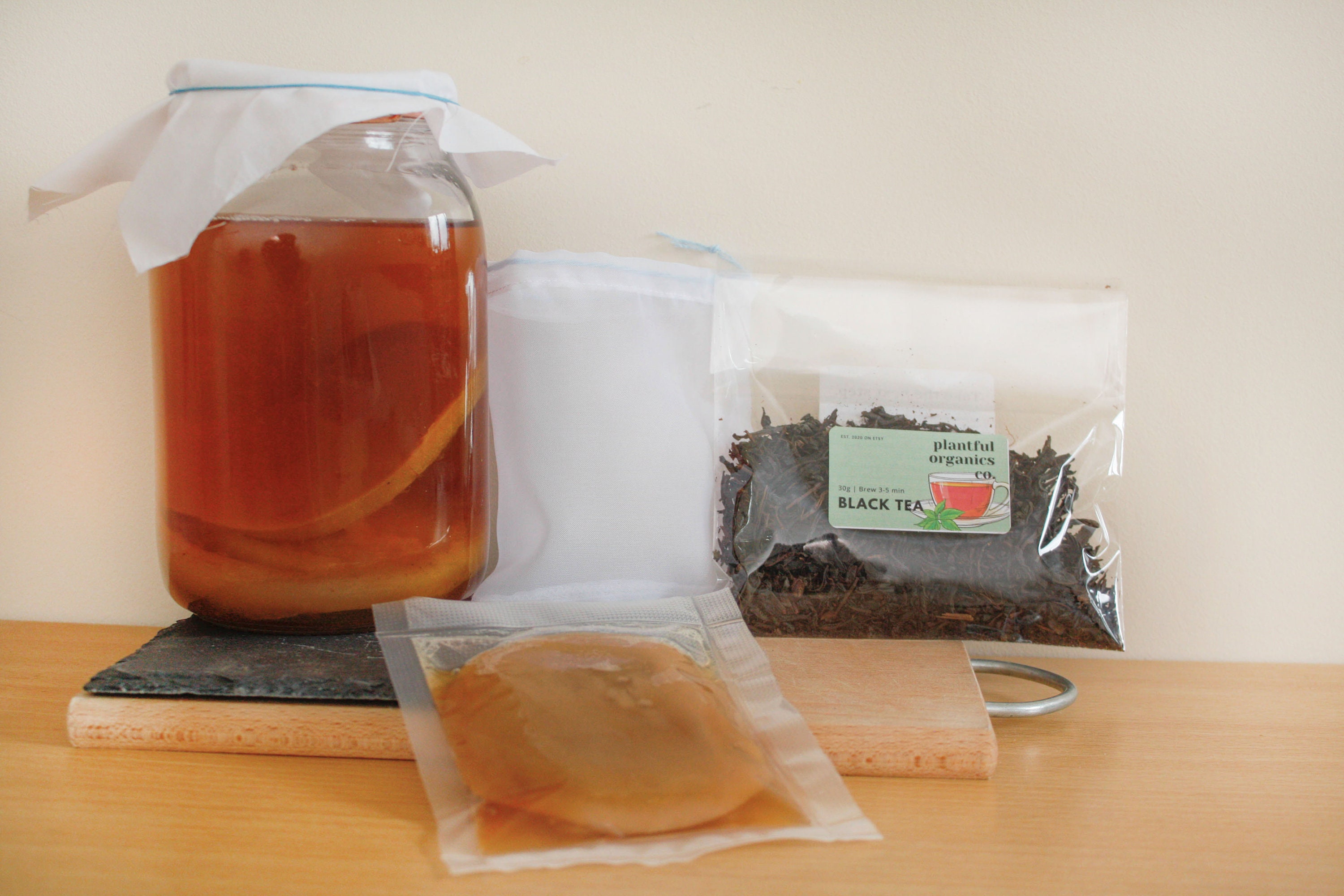 Kombucha Scoby: DIY Starter Kit With Instructions, Organic Kombucha - Etsy