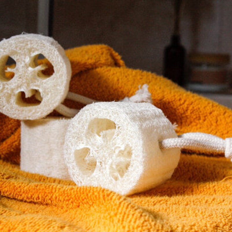 Luffa Sponge - Etsy