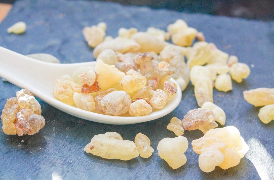 Louban, Natural Louban Chewing Gum: Boswellia Tree Sap - Etsy