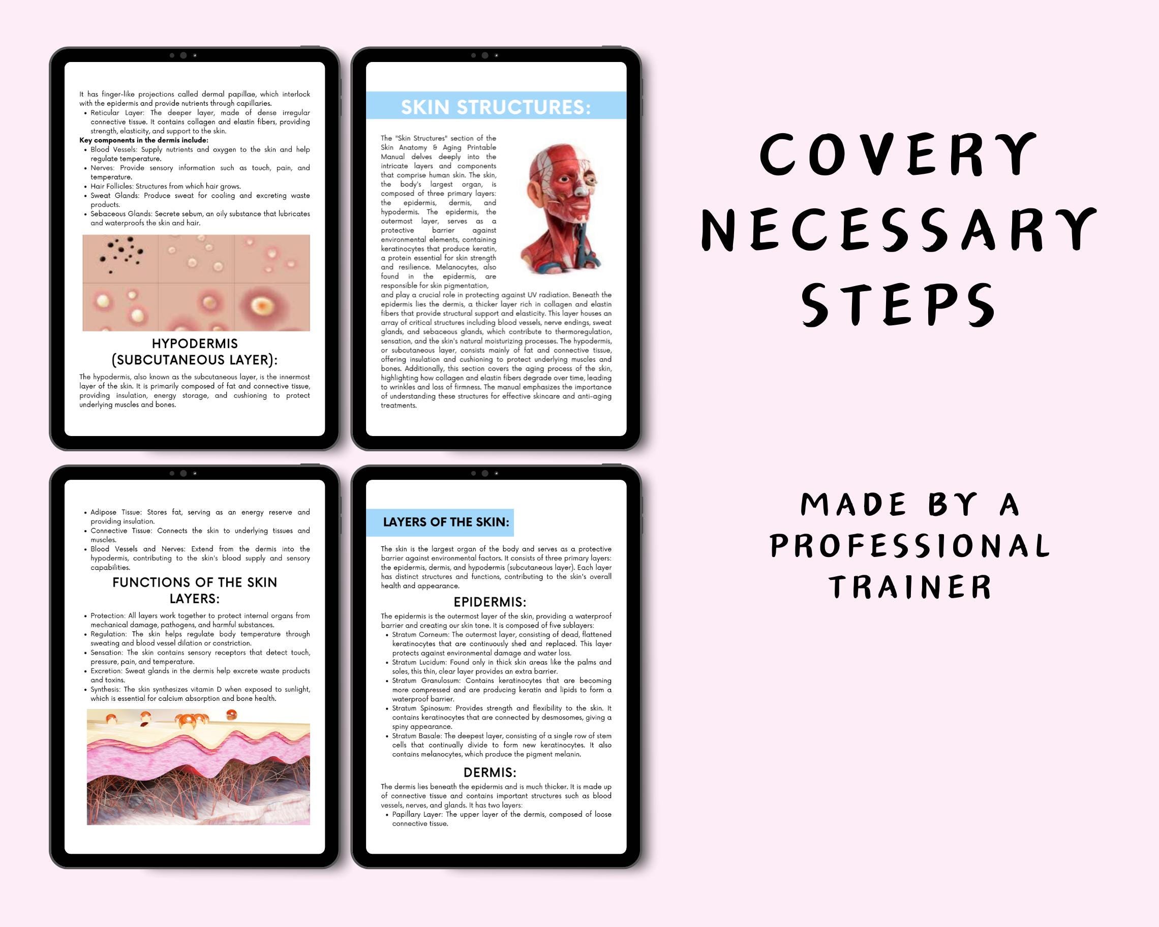 Skin Anatomy & Aging Printable Manual | Comprehensive Guide to Skin ...