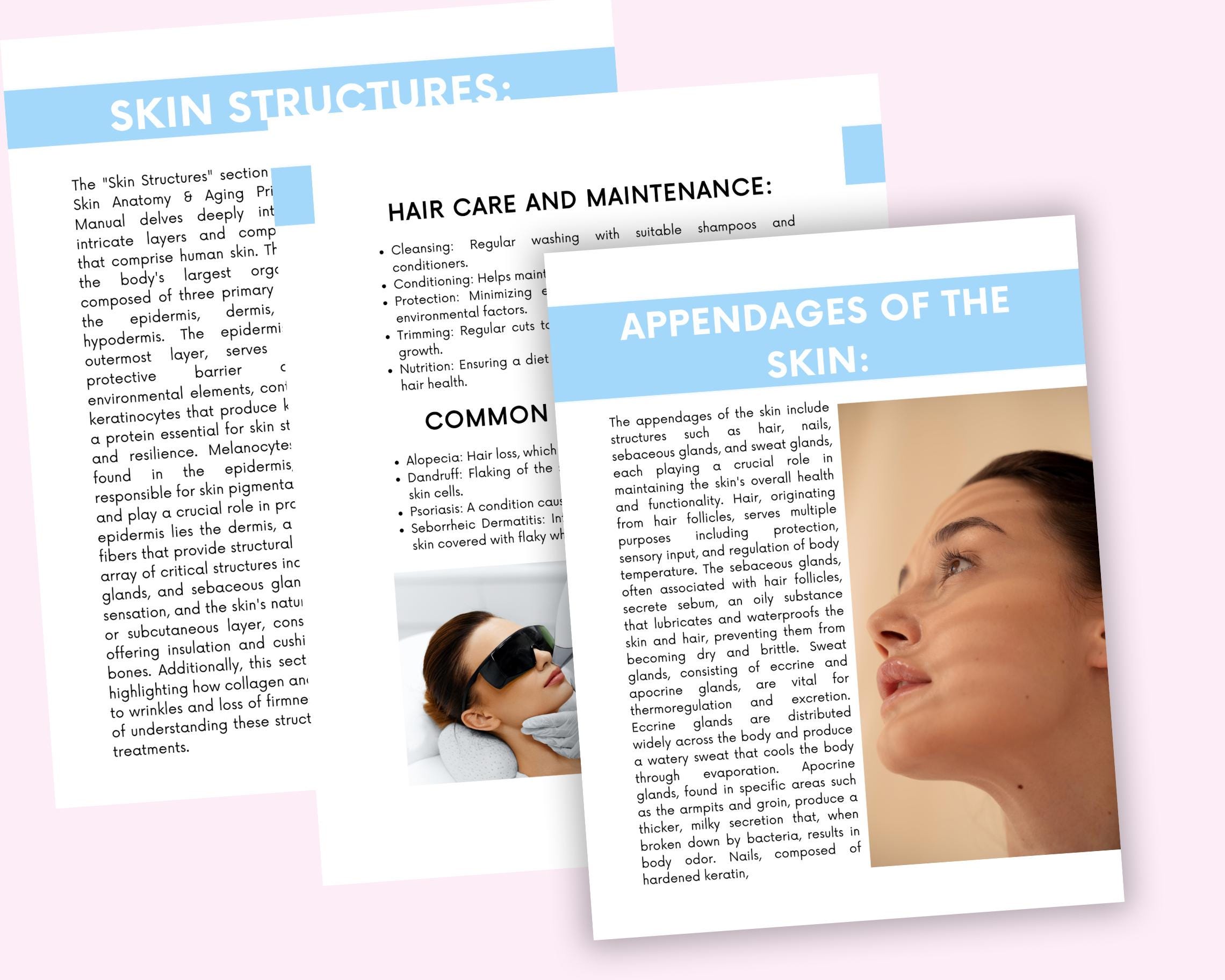 Skin Anatomy & Aging Printable Manual | Comprehensive Guide to Skin ...