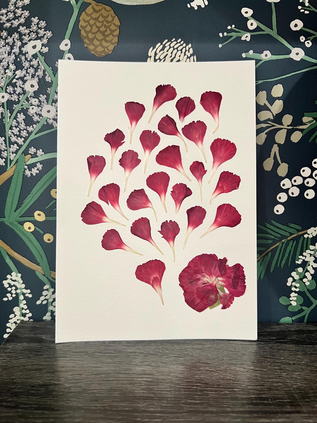 Carnation Pressed Flowers for January Birthdays Dried Florals Wall Art ...