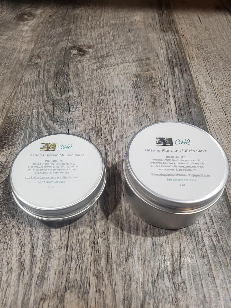 Healing Plantain Mullein Salve - Etsy