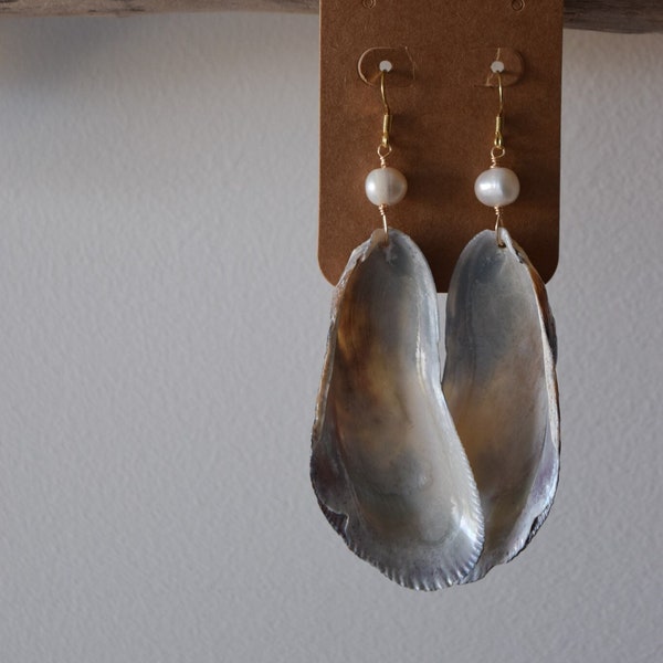 Mussel Shell Earring - Etsy