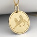 14K Solid Gold Sphinx Necklace, Egyptian Pendant, Mythology Jewelry ...