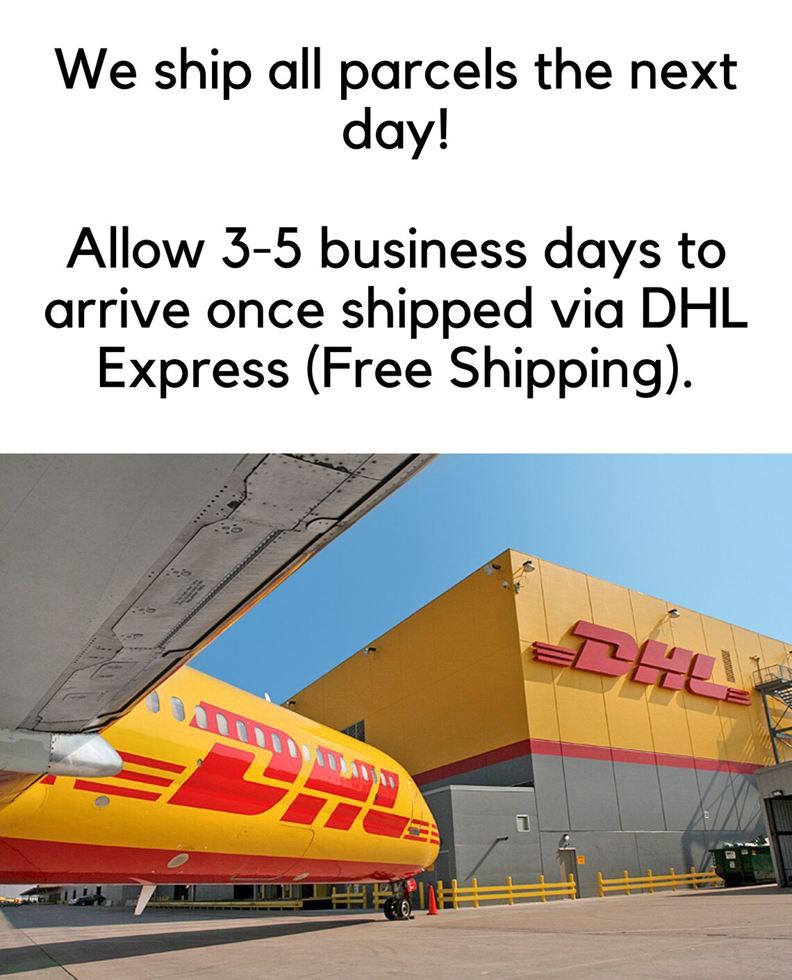 14K Solid Gold Dove Necklace, Gold Birds of Peace Disc Pendant, Dove ...