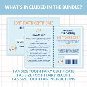 Editable Tooth Fairy Certificate, Tooth Fairy Printable, First Tooth ...