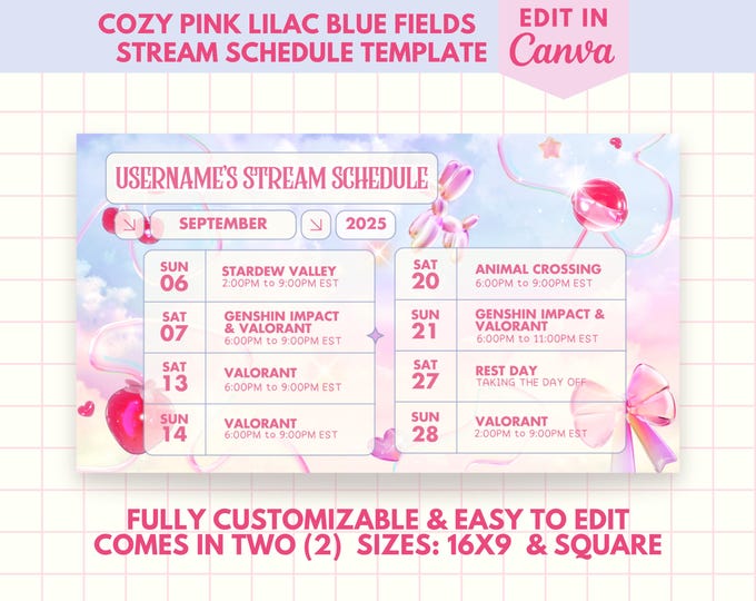 Blue Twitch Banner / Star Twitch Banner / Stream Assets / Streamer ...
