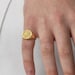 14K Gold Chinese Fu Signet Ring: Personalized Fortune Jewelry - Etsy