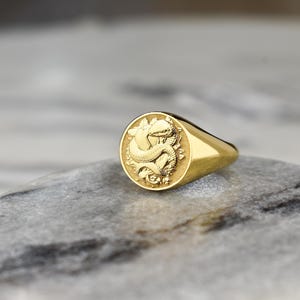 14K Solid Gold Eden Apple Signet Ring, Eden Serpent Round Ring ...