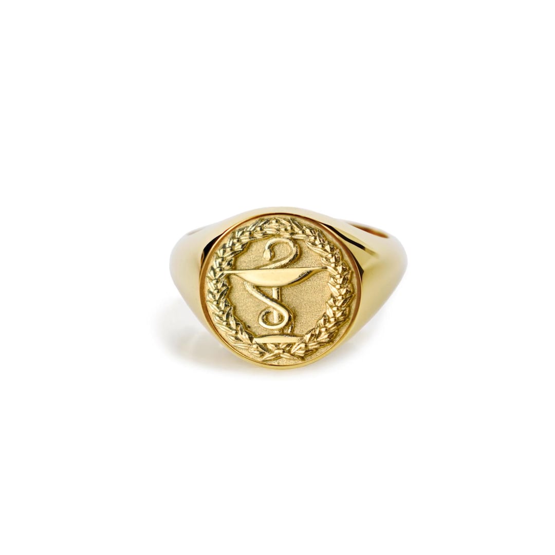 14K Solid Gold Pharmacist Signet Ring, Pharmacy Symbol Charm, Snake and ...