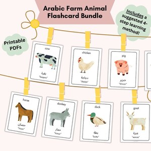 Arabic Farm Animal Flashcards English Bilingual Language Homeschooling ...