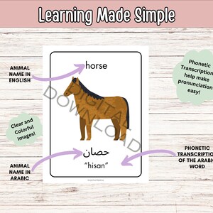 Arabic Farm Animal Flashcards English Bilingual Language Homeschooling ...