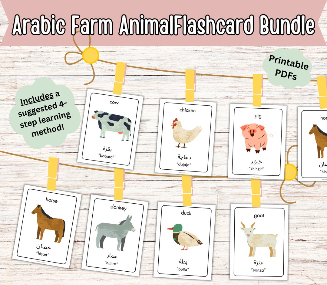 Arabic Farm Animal Flashcards English Bilingual Language Homeschooling ...