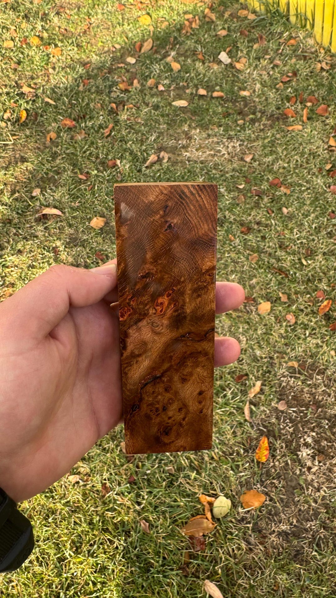 Beech Tree Stabilized Wood, Knife Maker Gift, Wood for Knife Handle ...