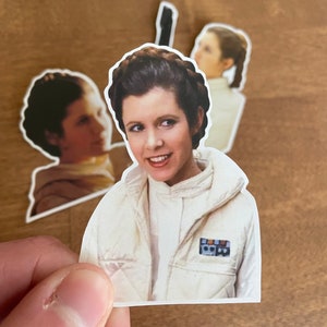 Princess Leia Sticker Set of 3 - Etsy