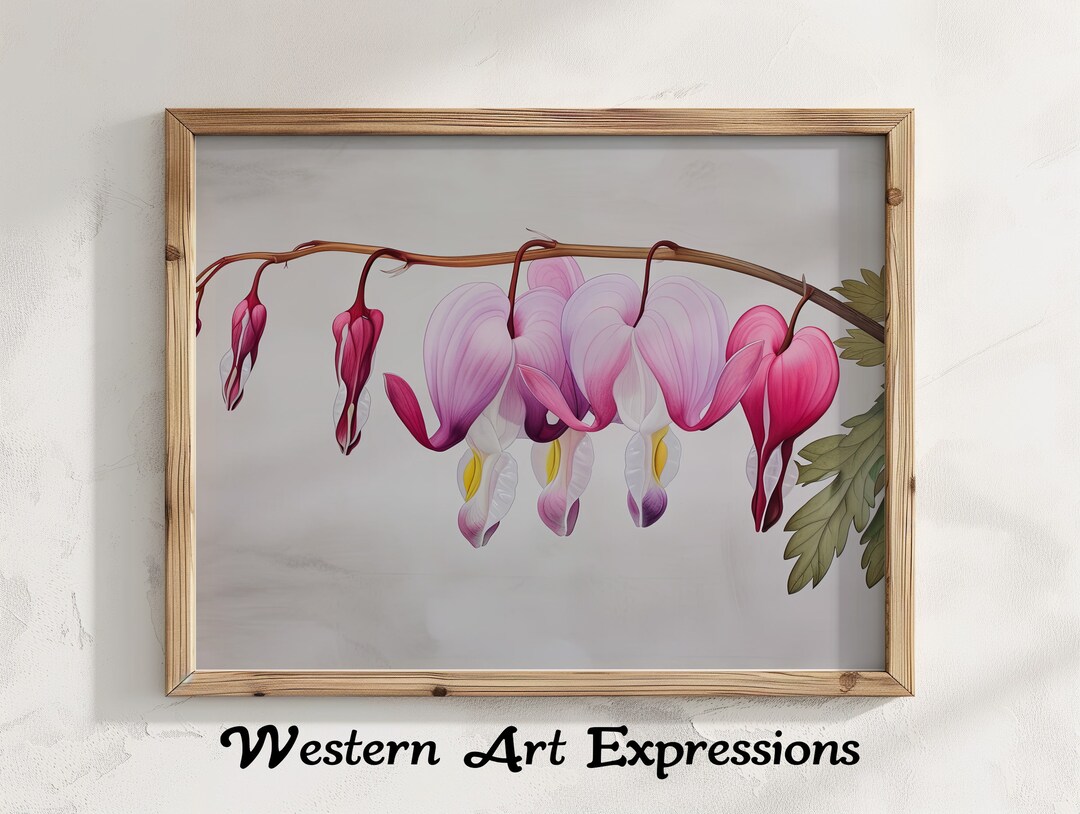 Bleeding Heart Flower - Watercolor Illustration | Botanical ...