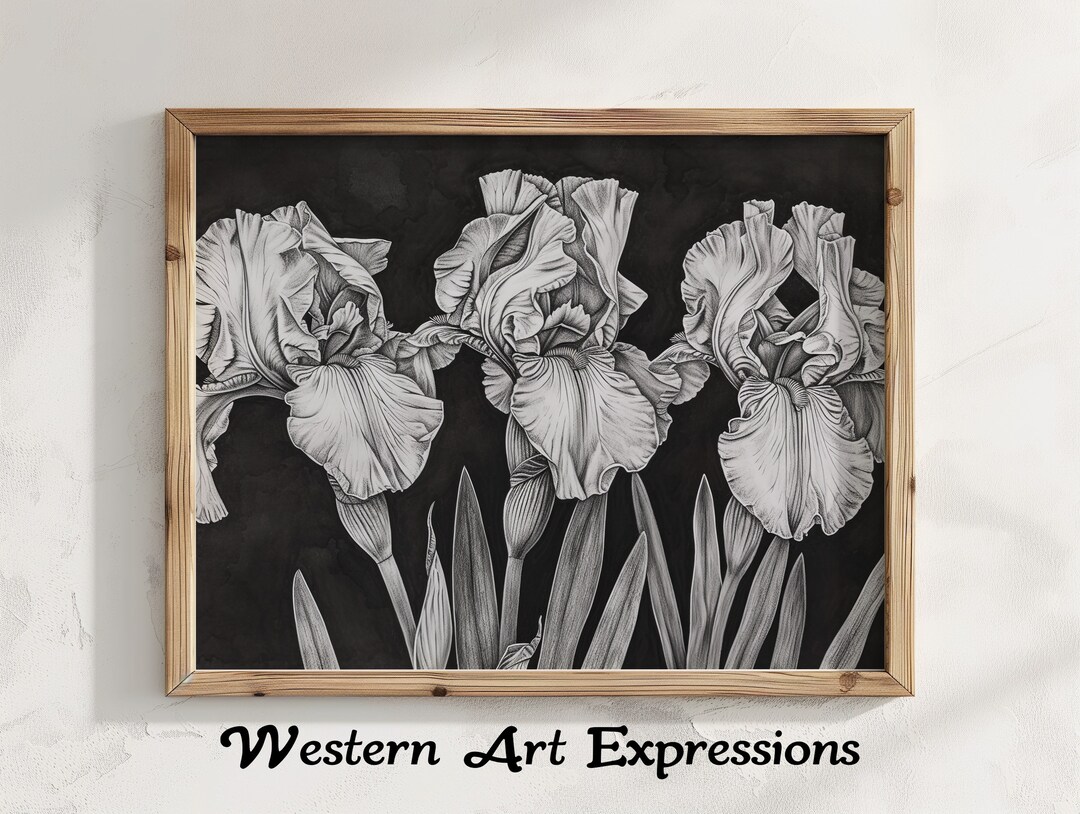 Irises Trio - Ink Drawing | Black and White Iris Flower Artwork ...