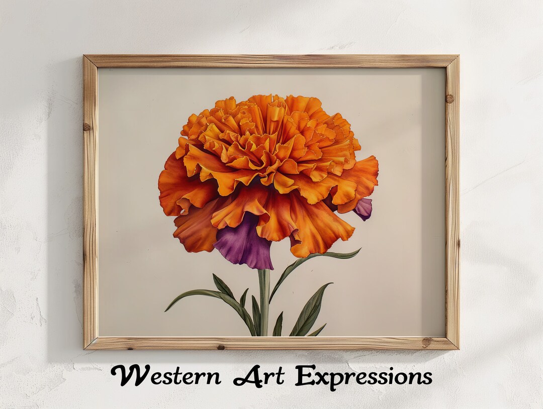 Marigold Flower - Watercolor Illustration | Orange Marigold Flower Wall ...