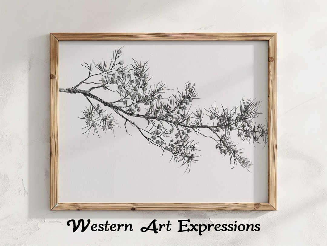 Small Branch - Pine Needles - Ink Drawing | Botanical Line Art Print ...
