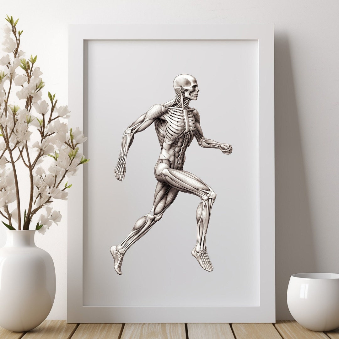 Human Body Running. Wall Art Prints. Office Wall Art. Office Wall Art ...