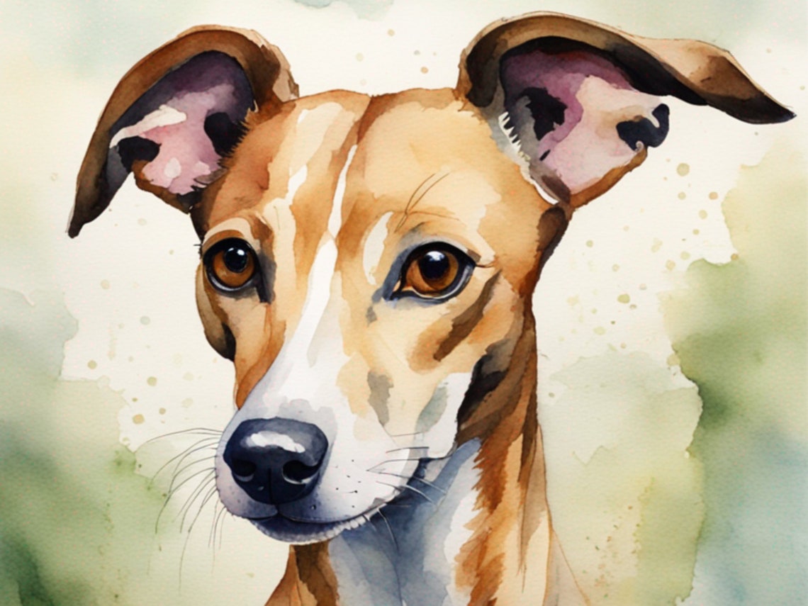 Brown Whippet Dog Portrait in Watercolour - Etsy