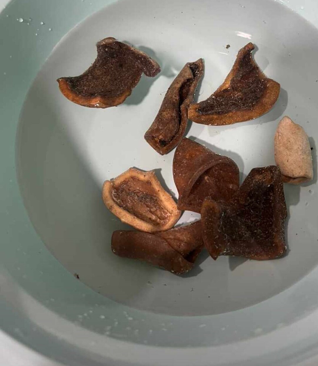 African Dried White Ponmo (20pcs) - Etsy