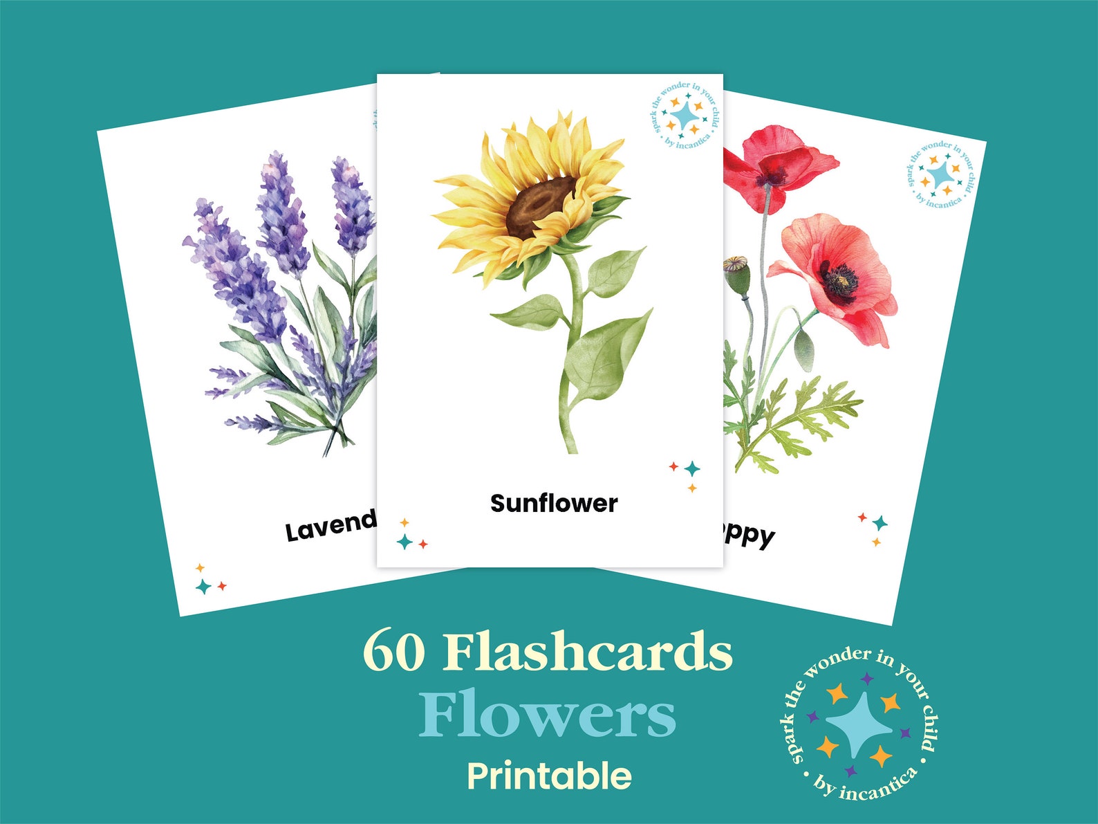 60 Watercolor Flower Flashcards, Montessori Learning (printable PDF) - Etsy