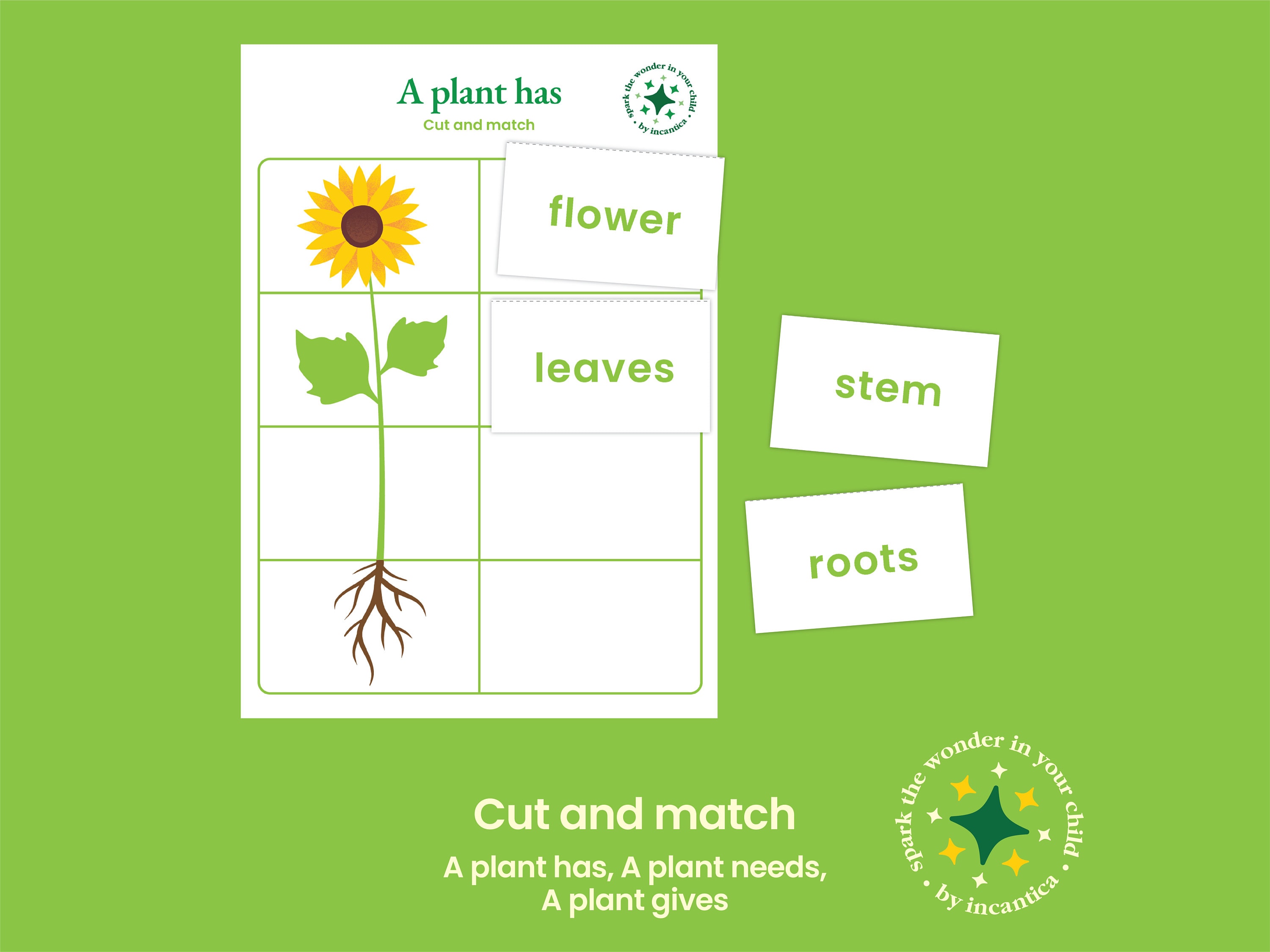 Printable Plant Learning Bundle: Parts of Plants, Life Cycle, Nature ...