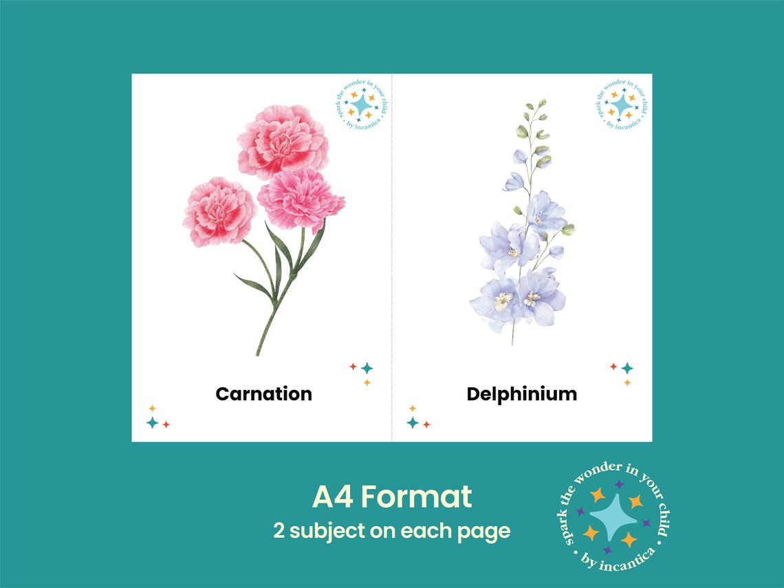 60 Watercolor Flower Flashcards, Montessori Learning (printable PDF) - Etsy