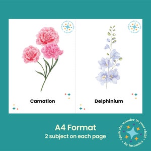 60 Watercolor Flower Flashcards, Montessori Learning (printable PDF) - Etsy