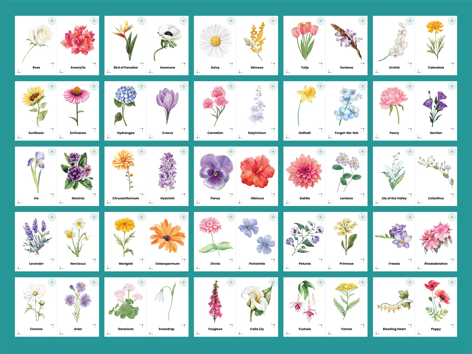 60 Watercolor Flower Flashcards, Montessori Learning (printable PDF) - Etsy