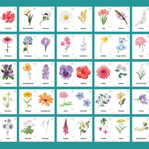 60 Watercolor Flower Flashcards, Montessori Learning (printable PDF) - Etsy