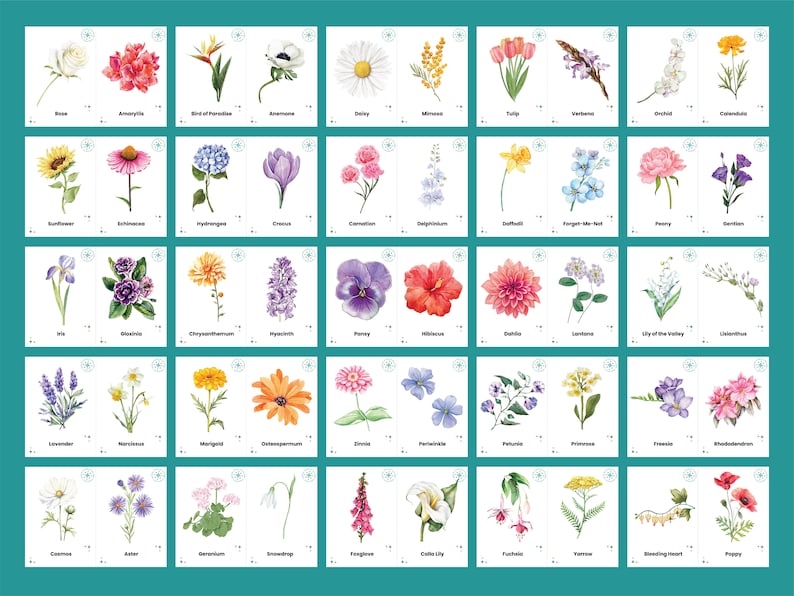 60 Flower Flashcards. Botanical Educational Learning, Instant Download ...