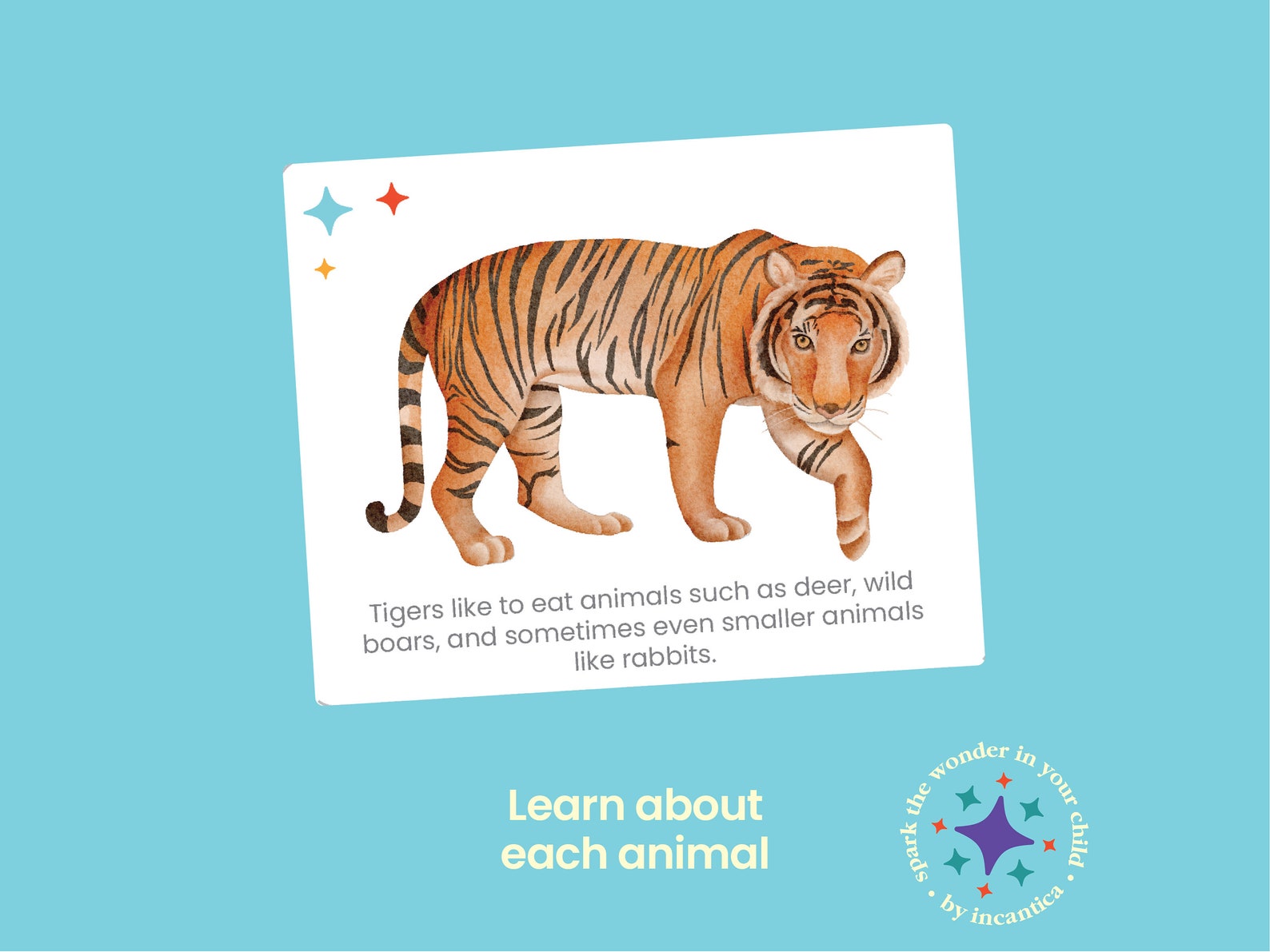 Animal Classification Printable: Sorting by Diet - Etsy