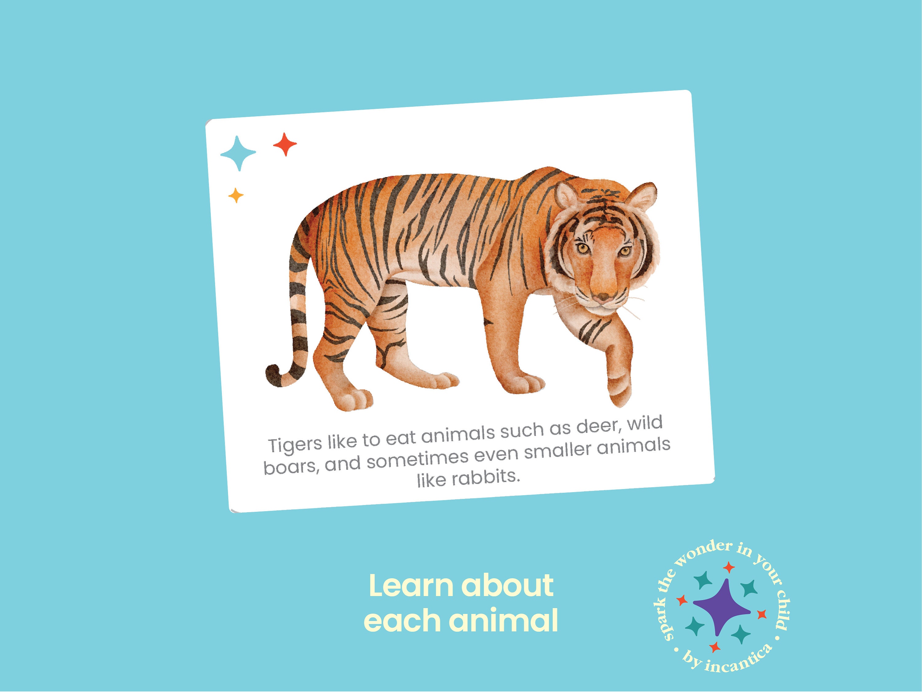 Animal Classification Printable: Sorting by Diet - Etsy