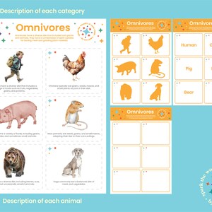 Animal Classification Printable: Sorting by Diet - Etsy