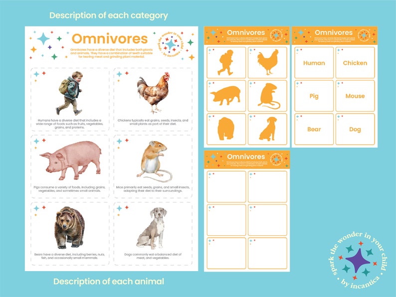 Animal Classification Printable: Sorting by Diet - Etsy