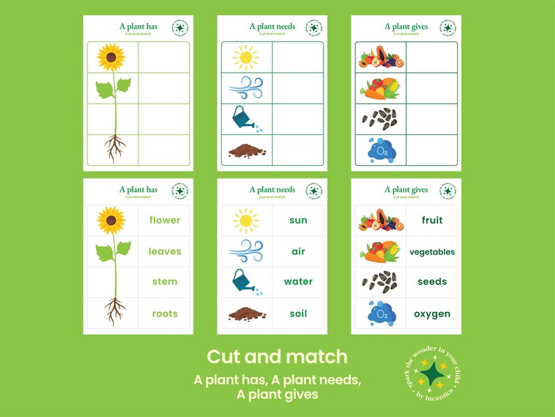 Printable Plant Learning Bundle: Parts of Plants, Life Cycle, Nature ...