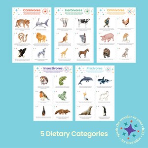Animal Classification Printable: Sorting by Diet - Etsy
