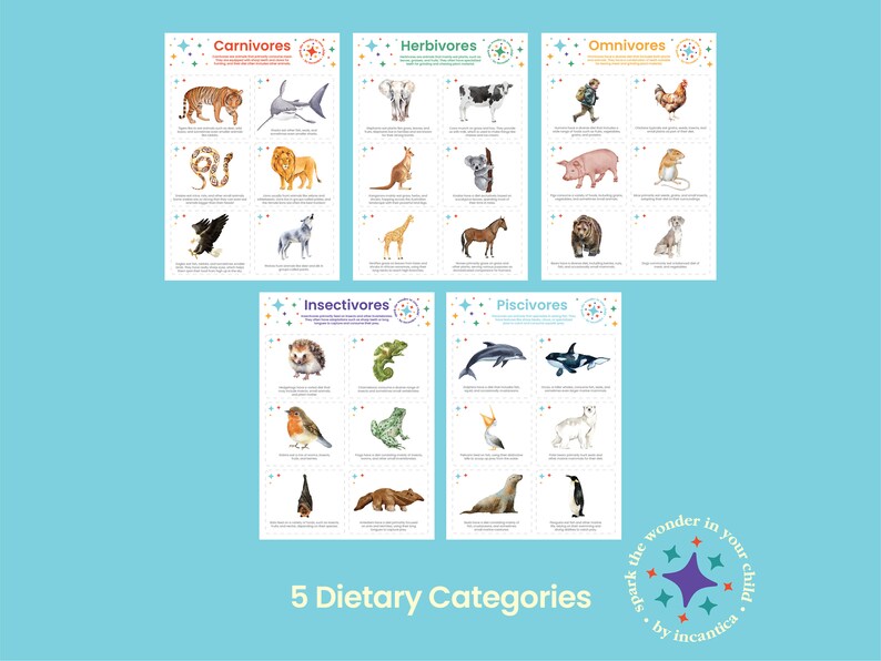 Animal Classification Printable: Sorting by Diet - Etsy