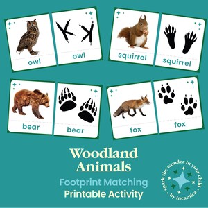 Woodland Tracks Matching 10 Animal Footprints, Learning Activity for ...