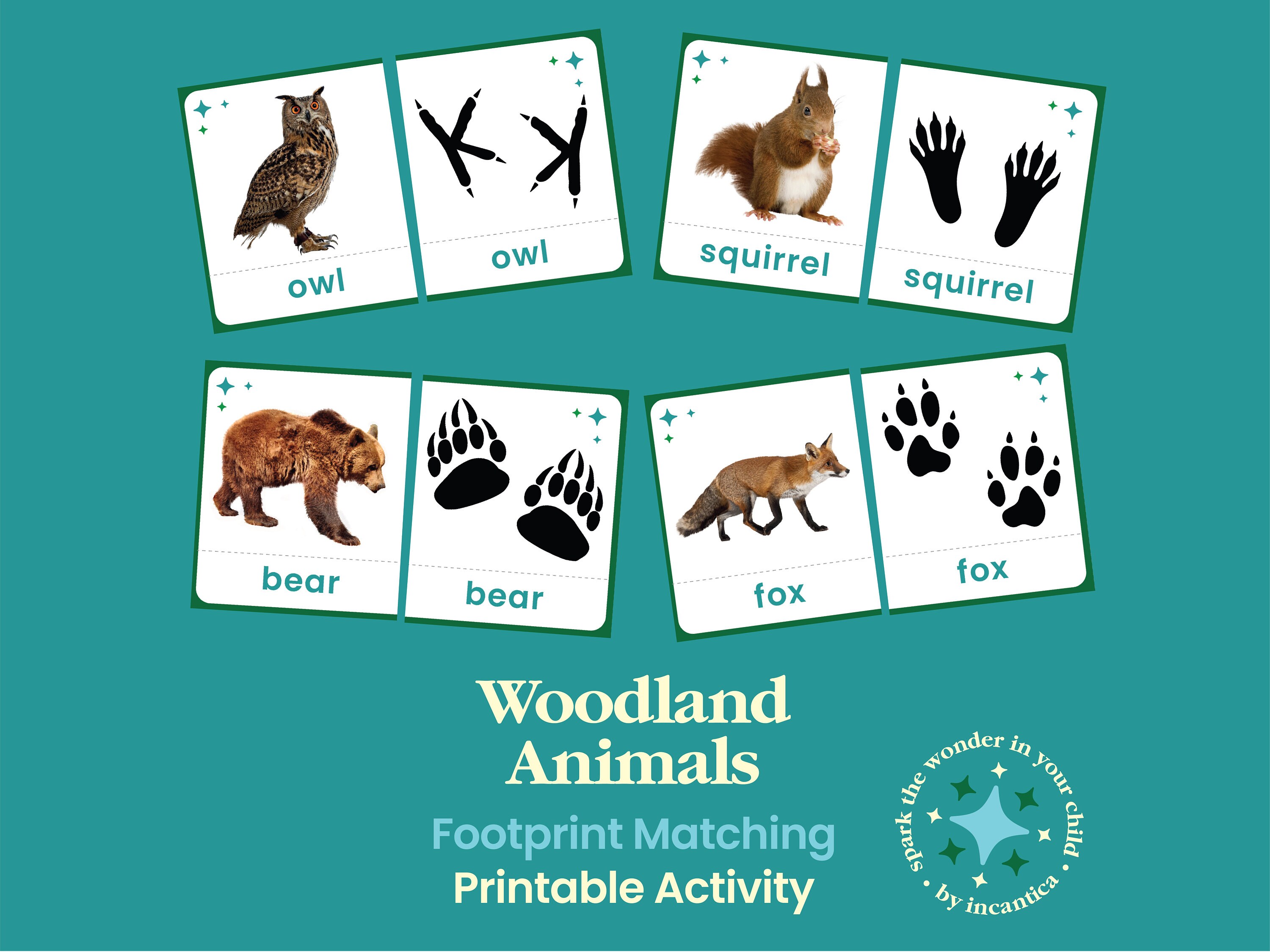 Woodland Tracks Matching 10 Animal Footprints, Learning Activity for ...