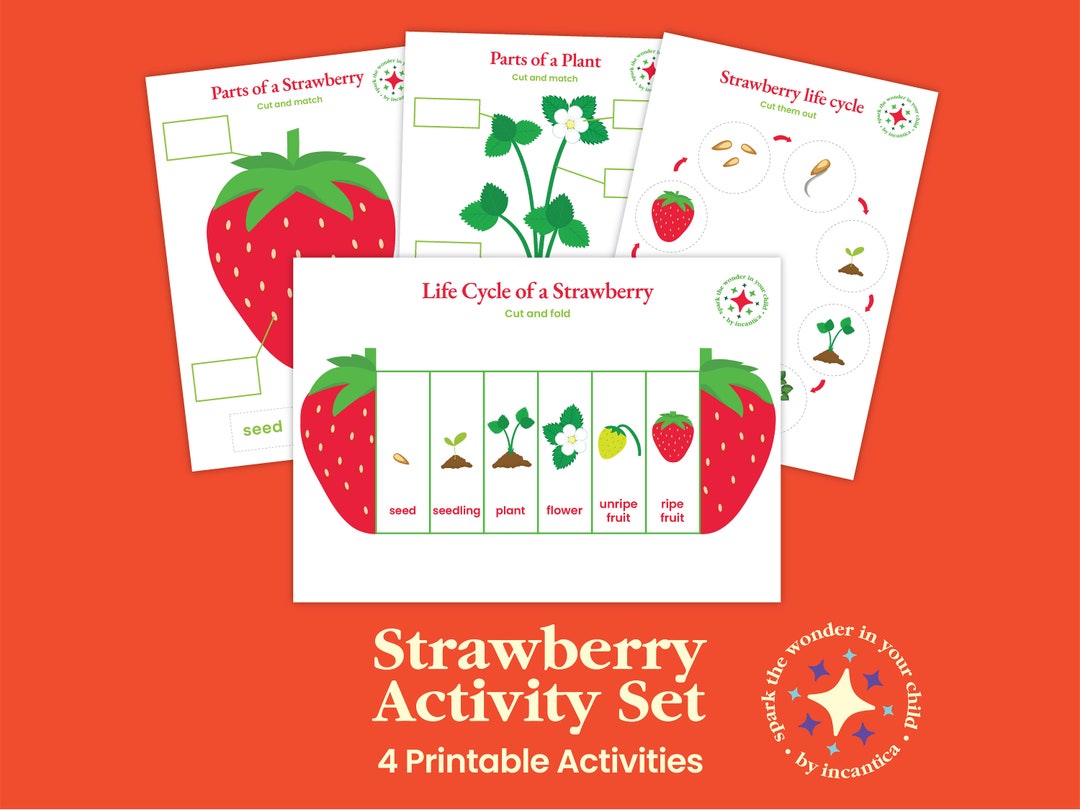 Printable Strawberry Learning Bundle: Life Cycle, Parts of Strawberry ...