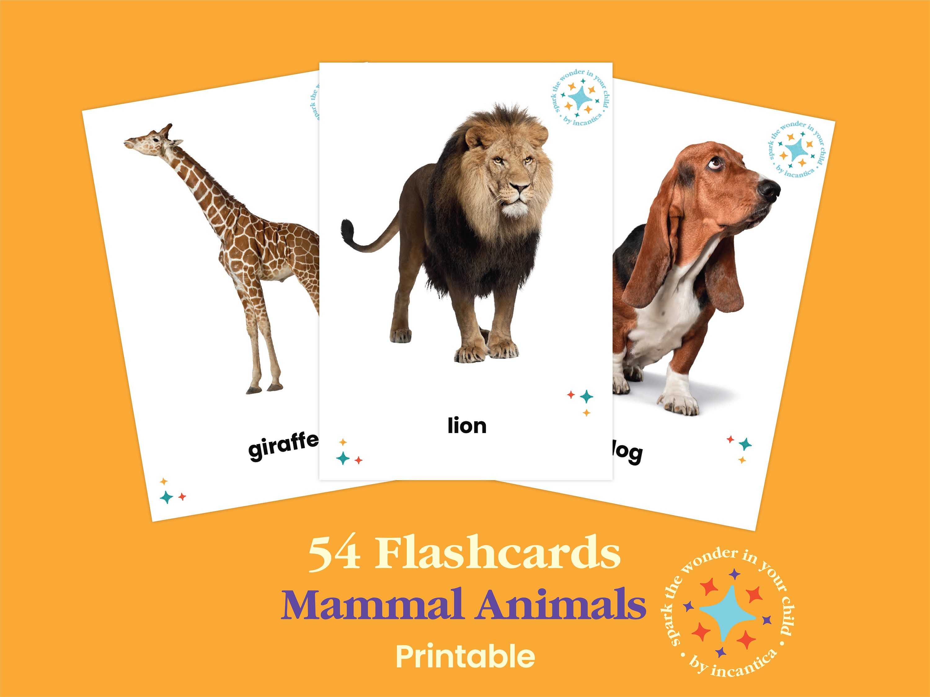50 Mammal Animal Flashcards Set: Educational Learning, Photographic ...