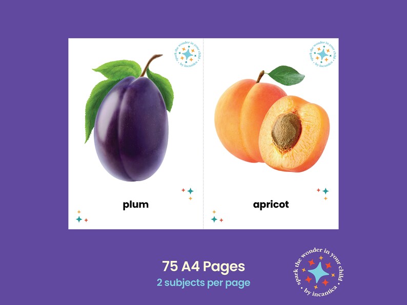 150 Fruit & Vegetables Printable Flashcards Bundle. Fruit, Veg, Beans ...